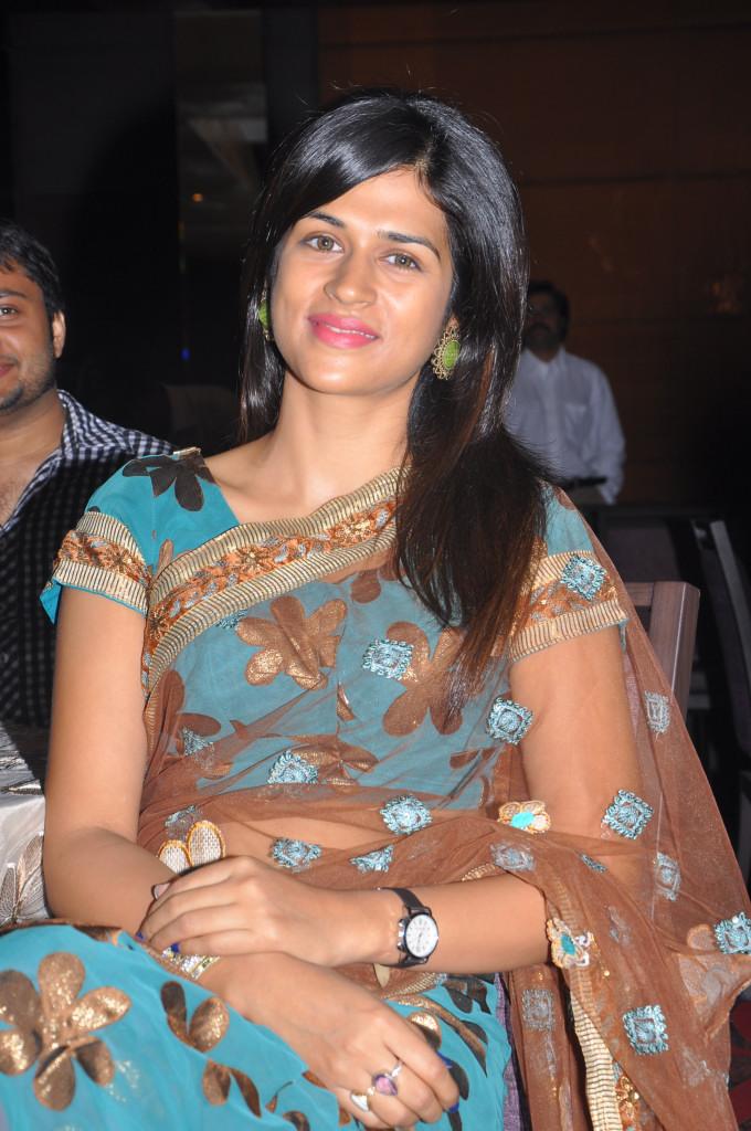 Actress Shraddha Das in Saree Photos