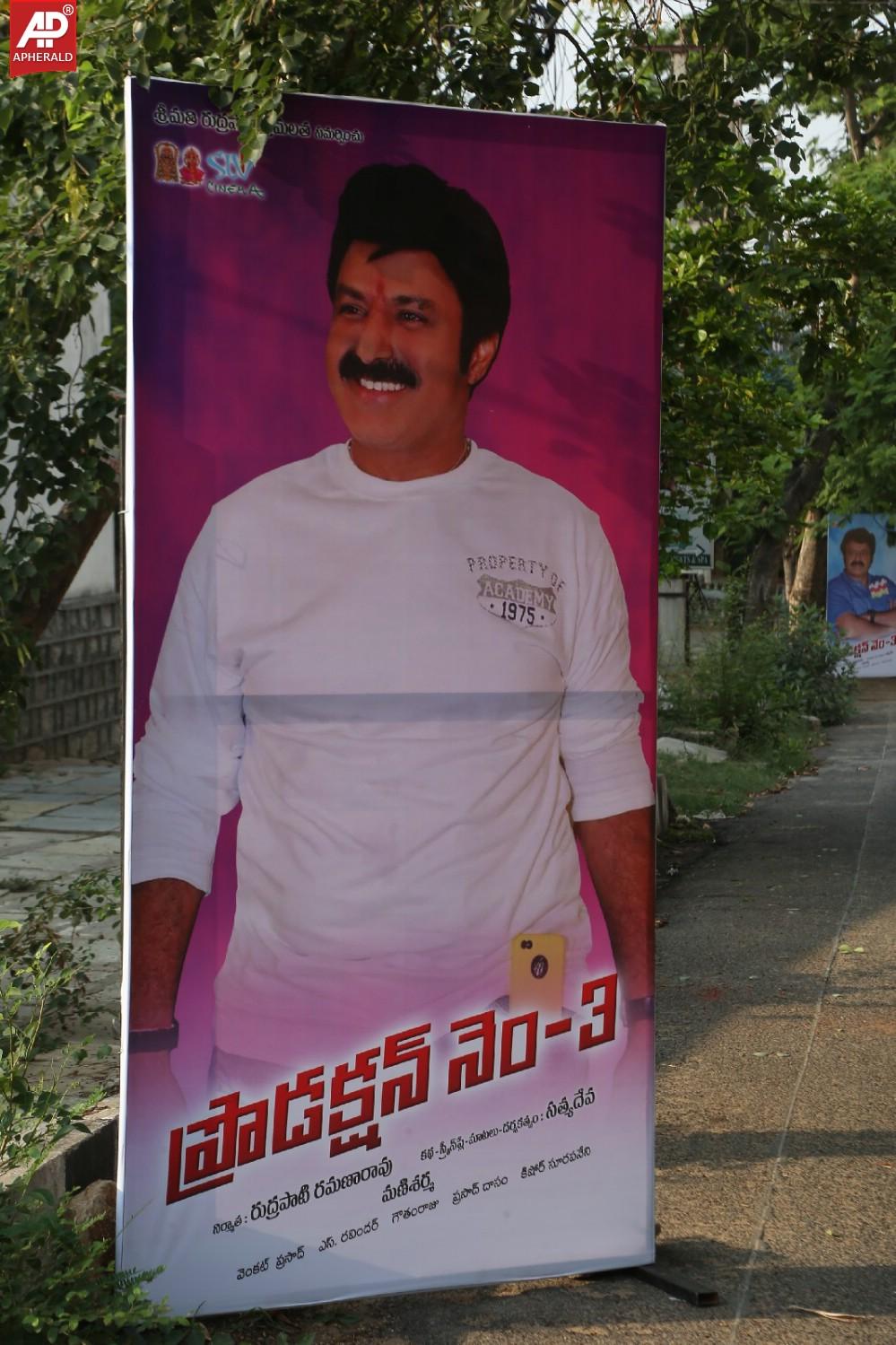 Balakrishna New Movie Opening Images