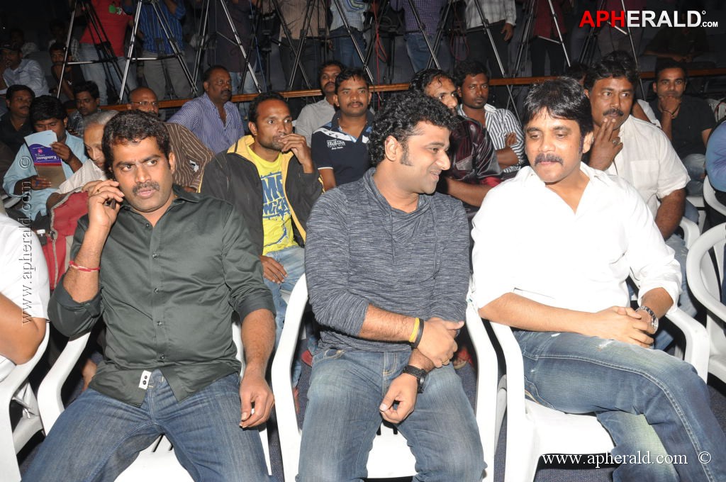 Bhai Triple Platinum Disc Function