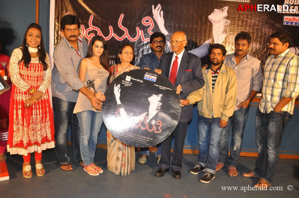 Madhumathi Movie Audio Launch