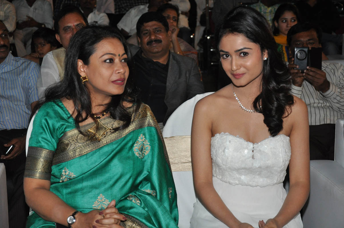 Surya vs Surya Audio Launch Stills