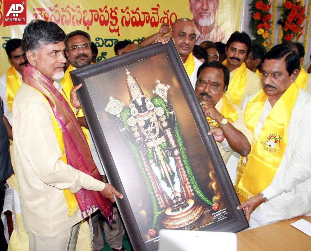TDLP Meeting at Tirupathi Photos