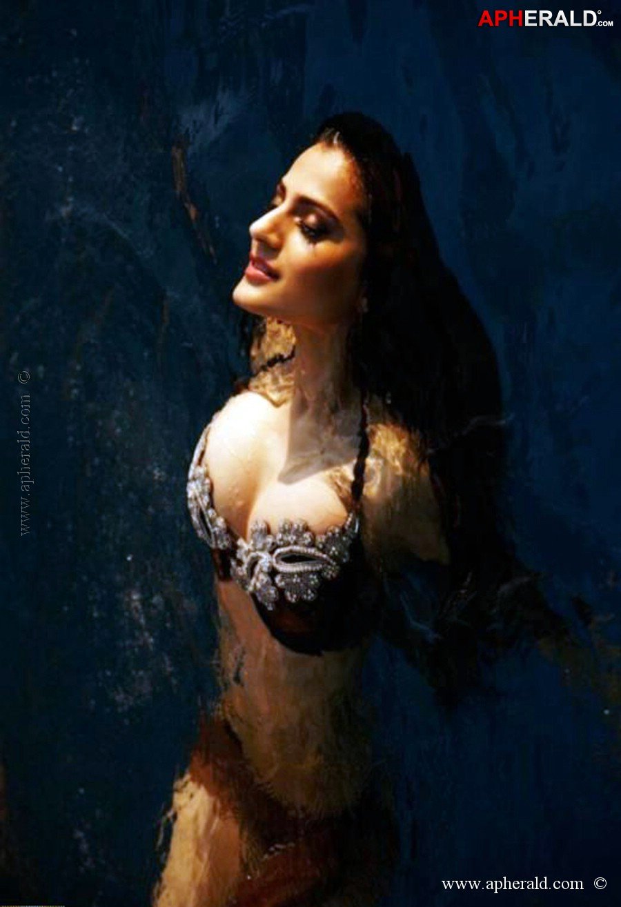 Amisha Patel Hot Navel Stills