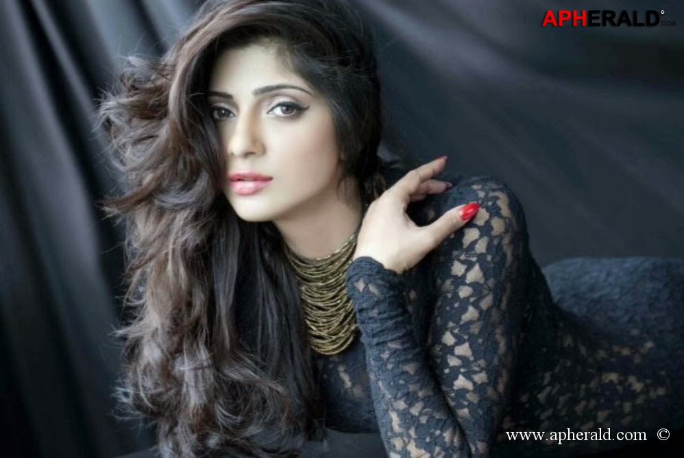 Divyani Singh Hot Gallery