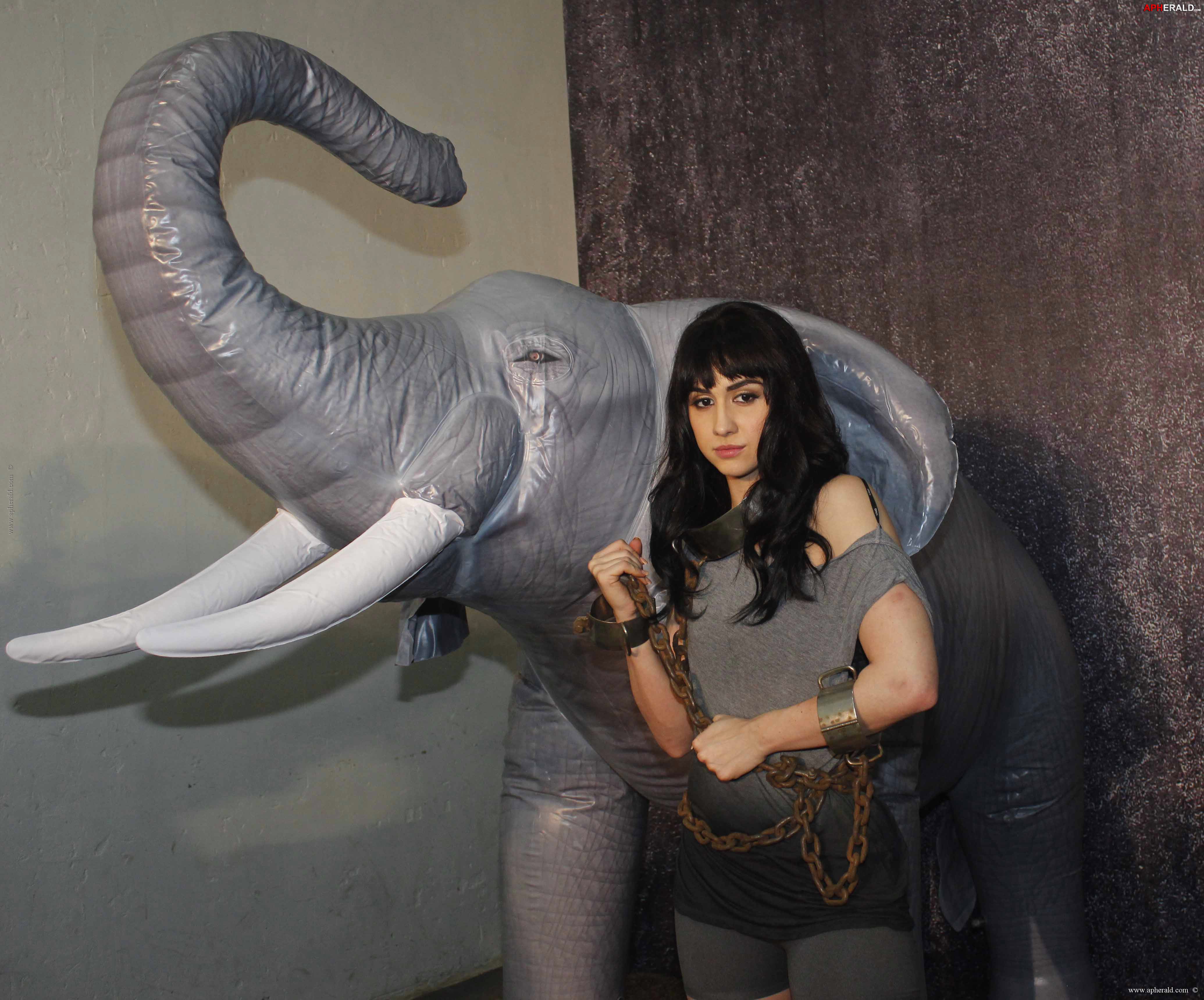 PETA Anti-Circus Campaign