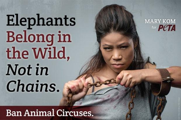 Celebs Pose for PETA