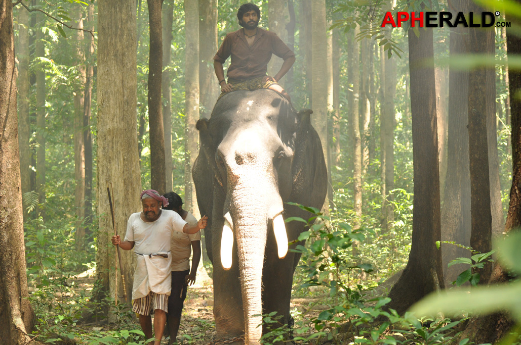 Gajaraja Movie Stills