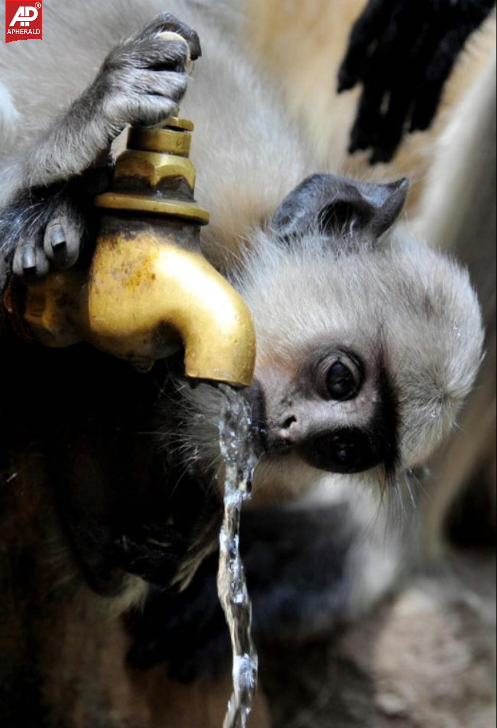 Heat Wave Scorches North India