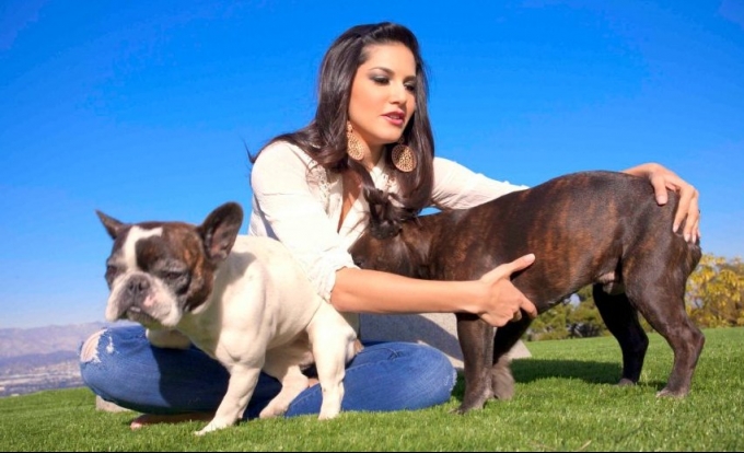 Sunny Leone With Dog Ultra HD Wallpaper