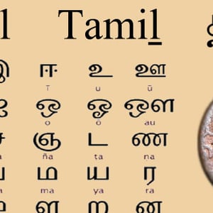 This is shameful for our culture , when the actress wore s