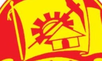 Tdp Logo Hd