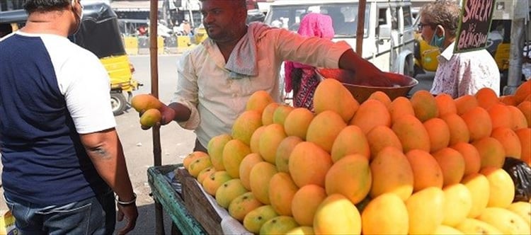 Mangoes arrive in Hyderabad markets - Price of Mangoes