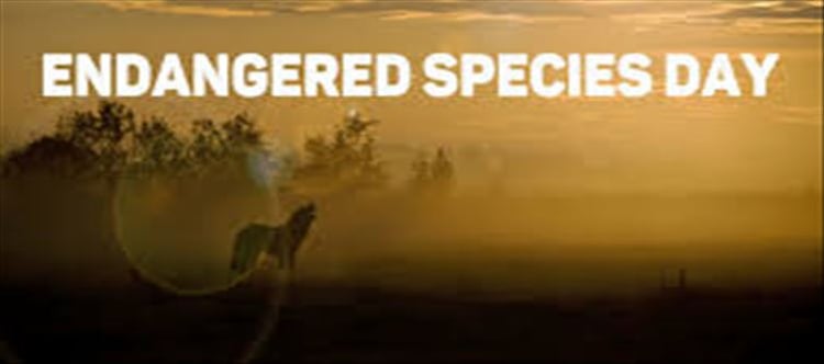 National Endangered Species Day - significance