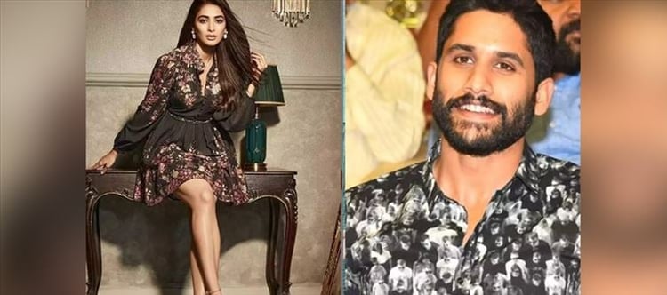 Pooja Hegde Secures Naga Chaitanya