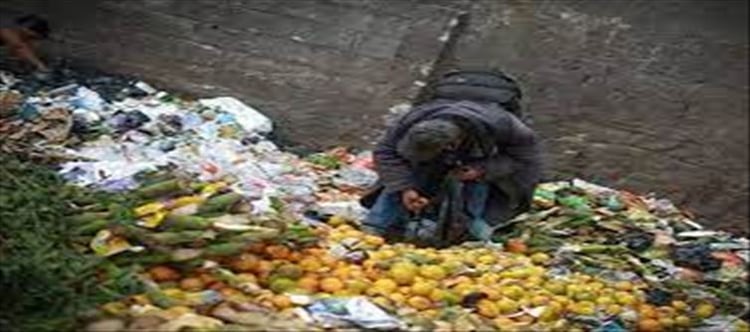 Shocking Data.. ? How much food do we waste..?