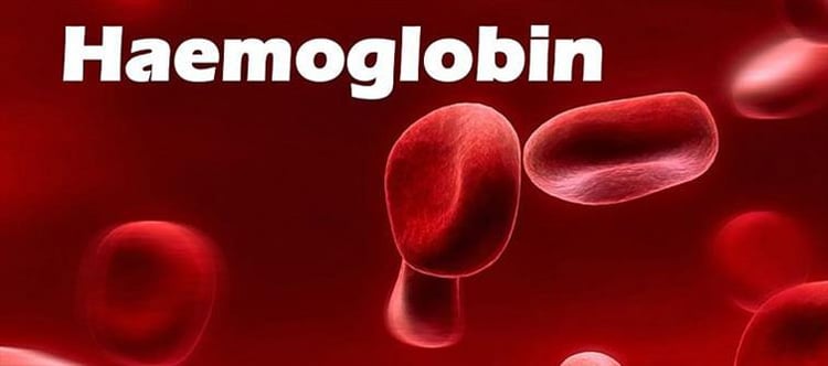 What are the measures to be taken to increase Haemoglobin l
