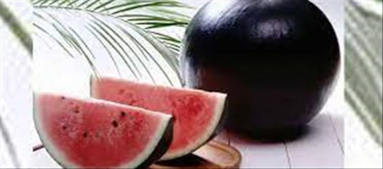 Black Watermelon: World s most expensive one