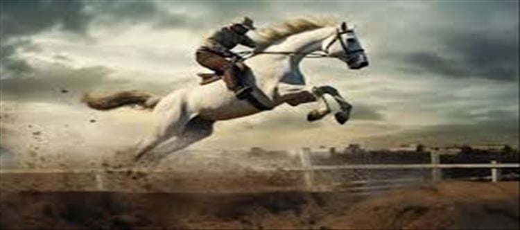 How did horse riding change human history?
