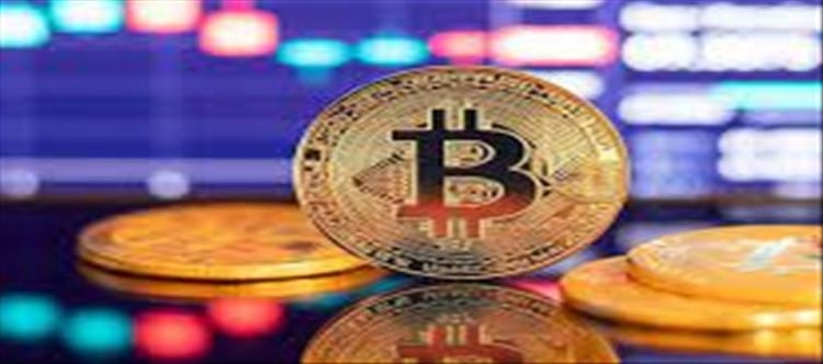 Which company has the most bitcoins in the world..