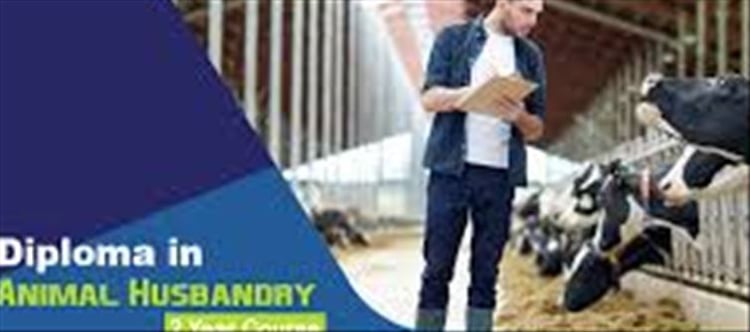 You can apply for Animal Husbandry Diploma Course