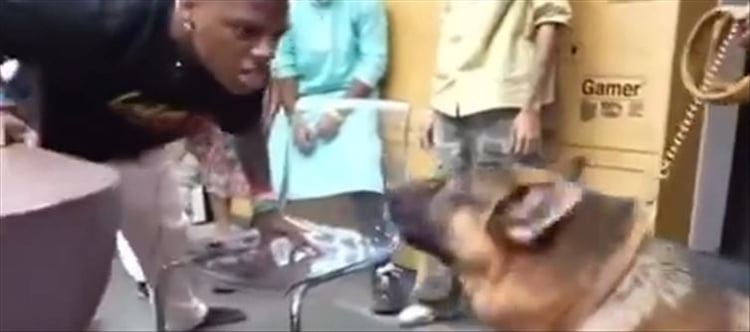 SPEED - Barking Competition with Dog - Dog Loses - VIRAL VI