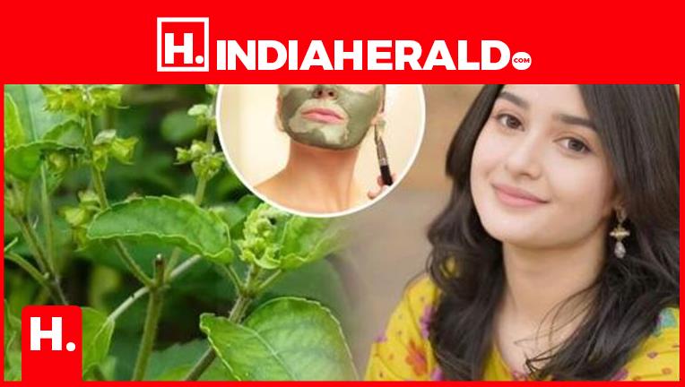 DIY Tulsi Face Percent And Scrub Recipes For Brighter, Heal