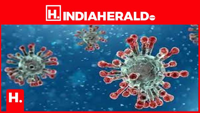 3 cases of Omicron BF.7 Variant detected in India