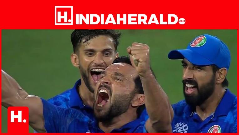 Afghanistan Thrashed Australia in T20 World Cup