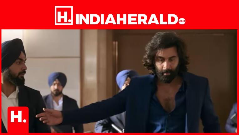 Animal box office collection day 11 - Collection moves to 4