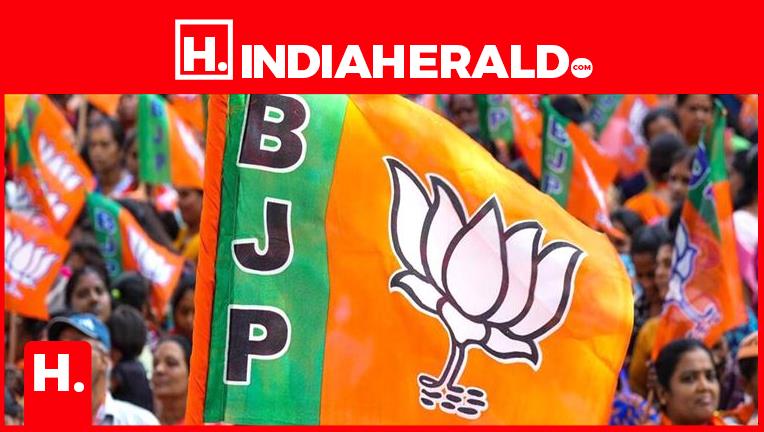 Why BJP MP resigns from Hisar seat?