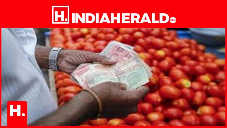 Buy tomatoes immediately & stock up... the price will go up