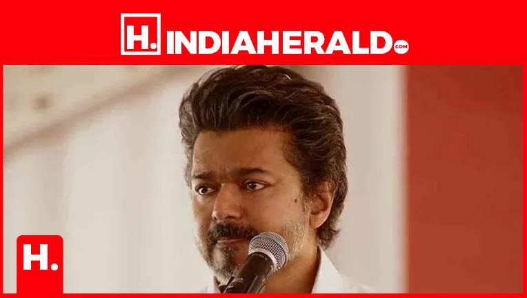 Cinema Fans vs Real Politics: Vijay Just Learned the Differ
