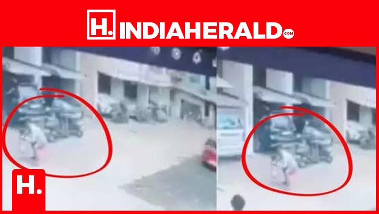 Cinematic Save - Guy Heroically Saves 2-Year-Old Who Fell F