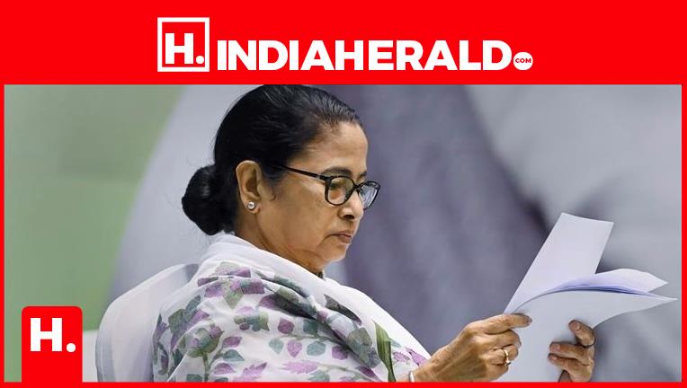 Mamata Banerjee decided to contest the Lok Sabha elections