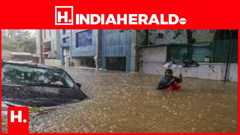 Cyclone Michaung wreaked havoc in Chennai