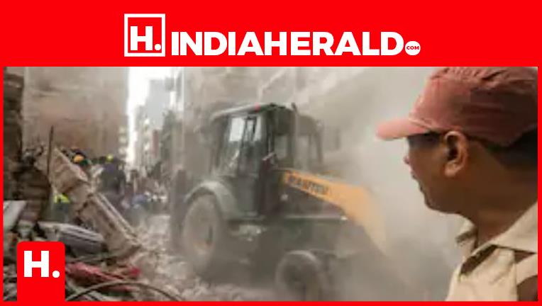 Delhi Building Owner, Kin Among 11 Dead As Toll Rises In 4-