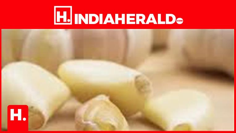 Drinking Garlic Juice Daily Boosts Health Benefits.