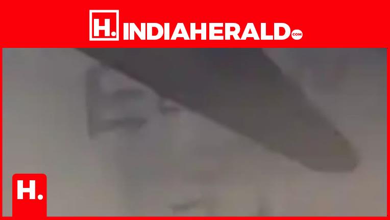 Elon Musk s Reaction to Swastika