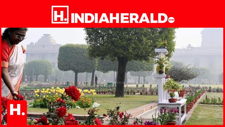 First Wedding In Rashtrapati Bhavan As President Accepts