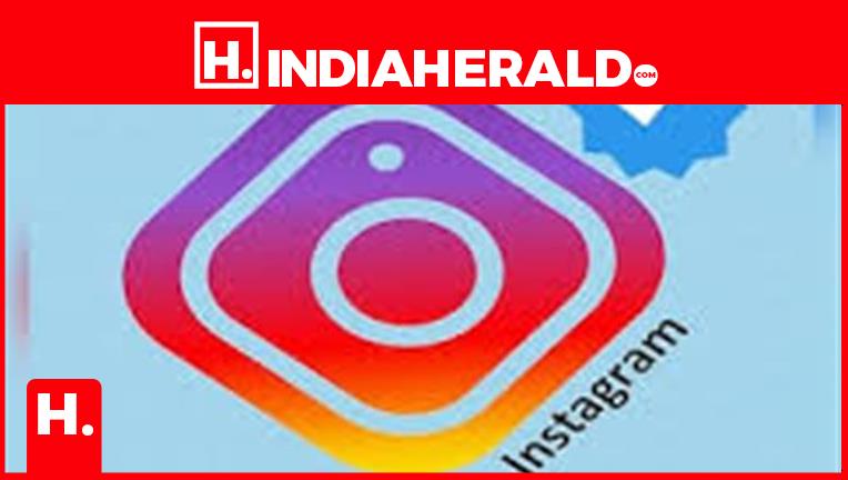 How to get the Instagram Blue Tick verified badge