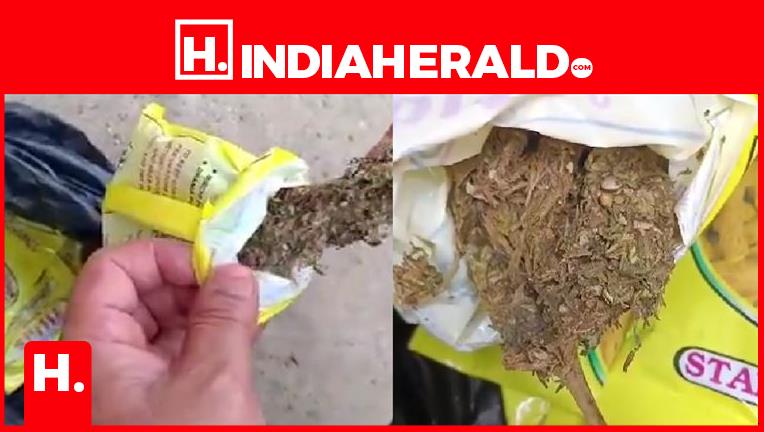 Hyderabad - Ganjaa Supply in Turmeric Packets Beware