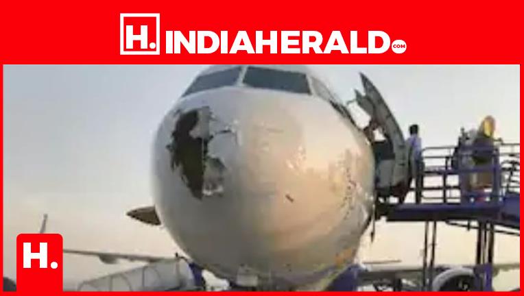 IAF Slams IndiGo Pilot For Ignoring Amritsar Option After P