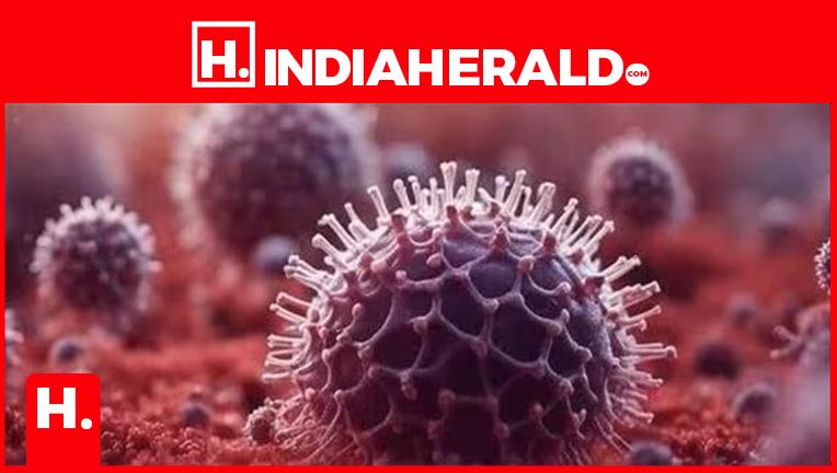 India s HMPV Case Rises to 7 : 2 New Cases in Tamil Nadu