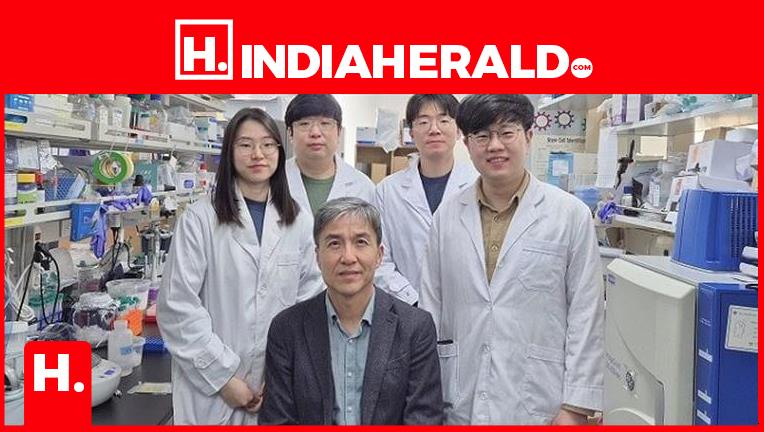 Korean scientists restore most cancers cells