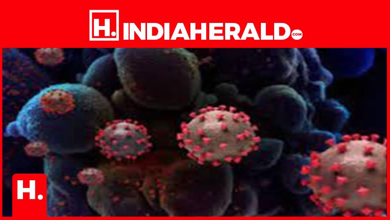Langya virus is more deadly emerging in China...