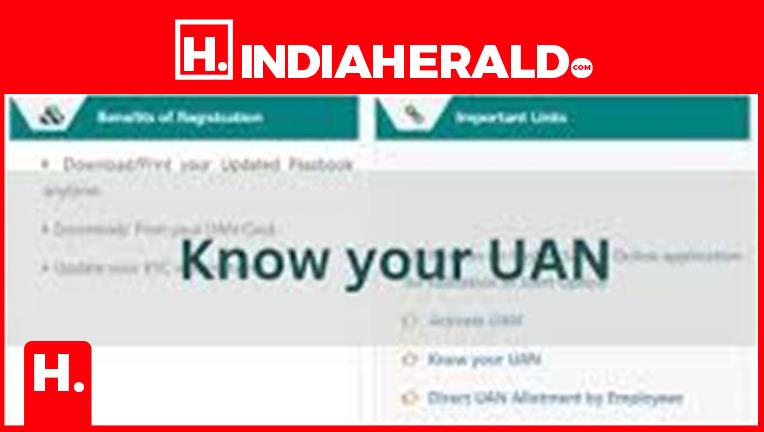 Lost Your UAN? 8 Easy Steps to Find It Online Using Aadhaar