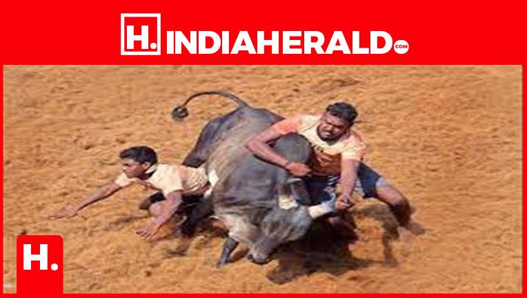 Madurai: 10 injured in Palamedu Jallikattu...