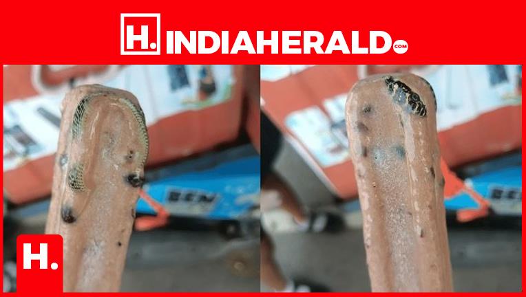 Man Finds Whole Snake Frozen Inside Ice Cream Bar