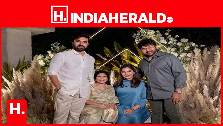 Mega Family sentiment on Mega Princess..