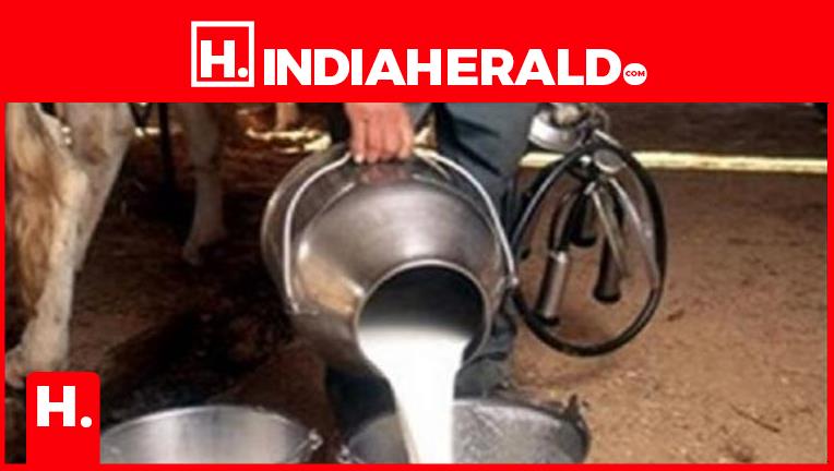 Milk Procurement from Farmers on 365 Days - TN Govt announc